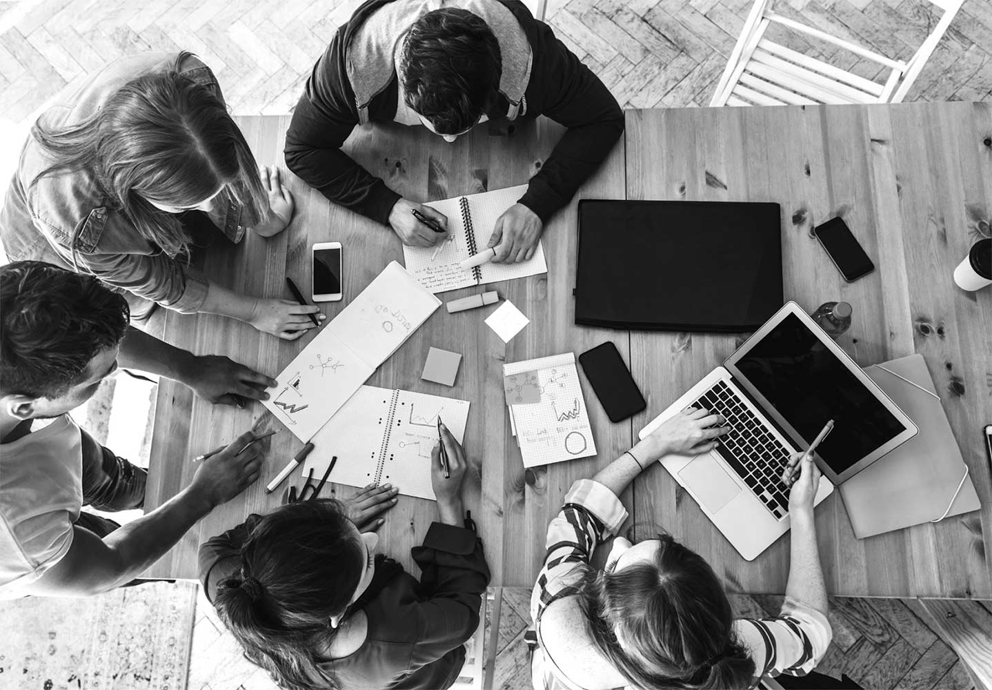 Cannabis Market Forecasts | BDSA