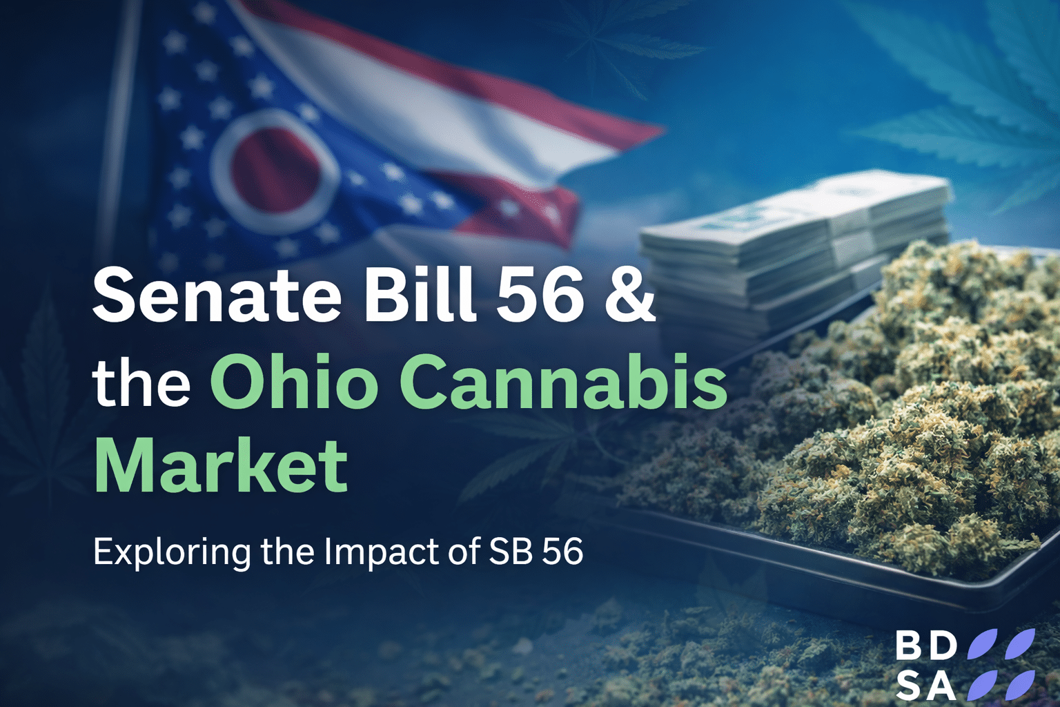 Ohio's Cannabis Market Is About to Change with SB 56. Here's What the ...